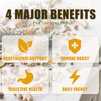 Magnesium rich ginger powder shots