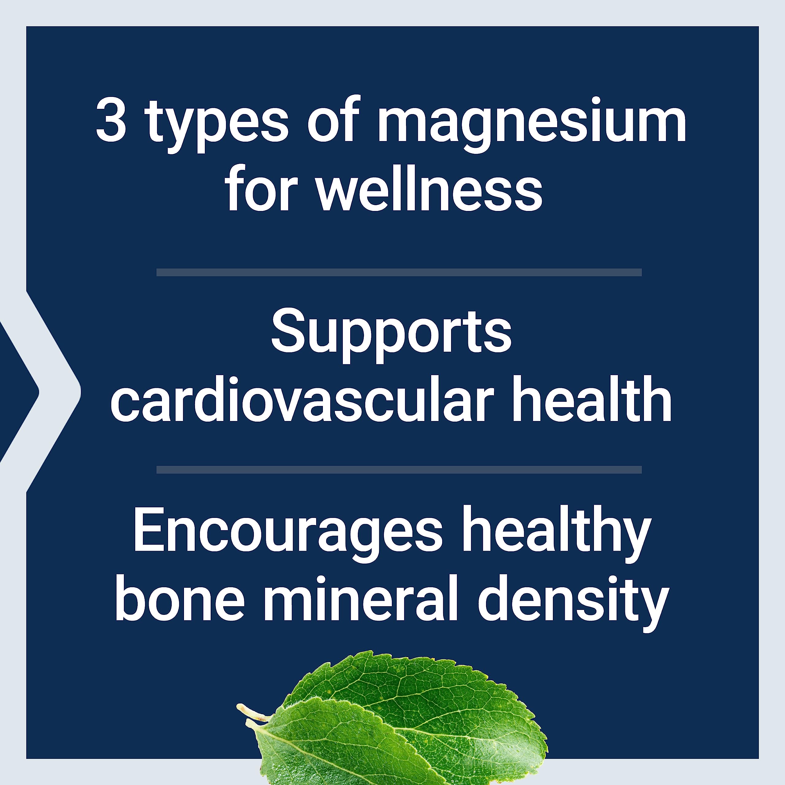 magnesium succinate for overall wellness