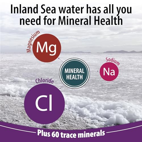 magnesium supplement for energy boost