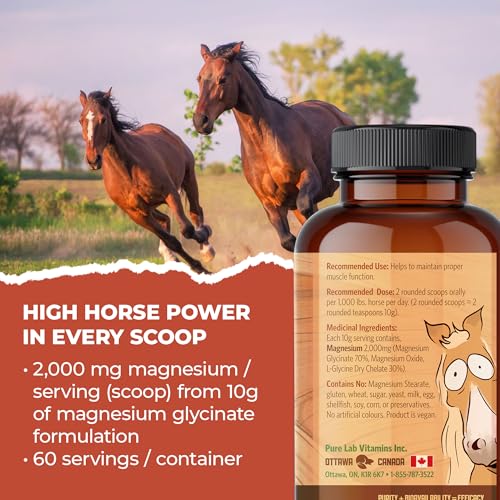 magnesium supplement for equine athletes