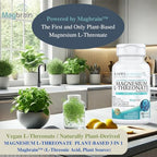 Magnesium supplement for overall wellness
