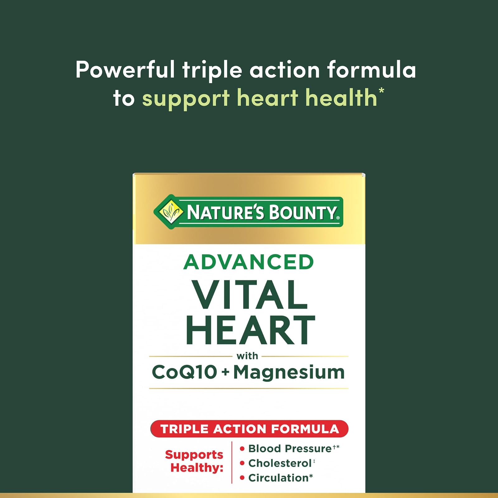 Magnesium support with CoQ10