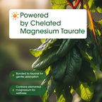 magnesium taurate for heart health