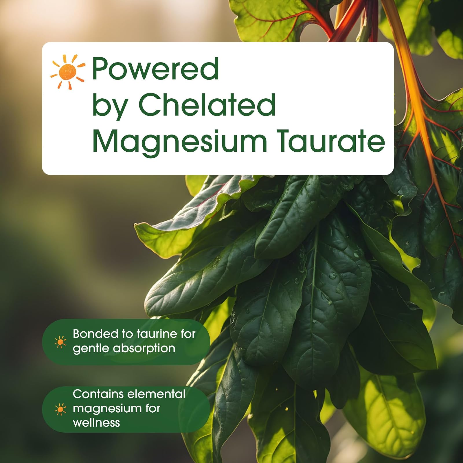 magnesium taurate for heart health