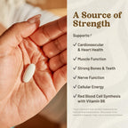 magnesium taurate for muscle relaxation