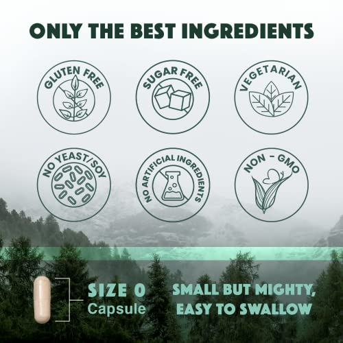 magnesium taurate for overall wellness