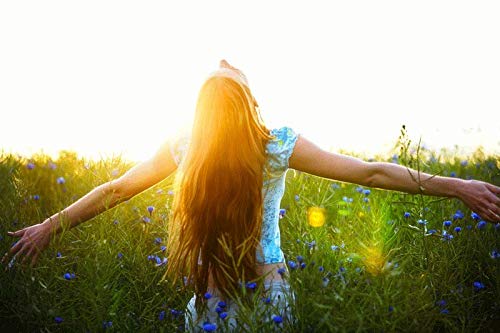 Magnolia Bark Extract for stress relief