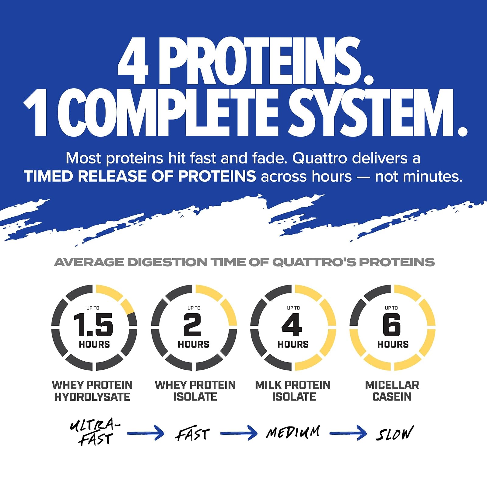 Magnum whey protein for athletes