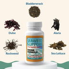 Maine Coast sea vegetables capsules