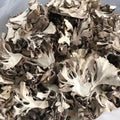 Maitake mushroom blended supplements