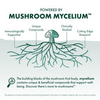 Maitake mushroom capsules for wellness