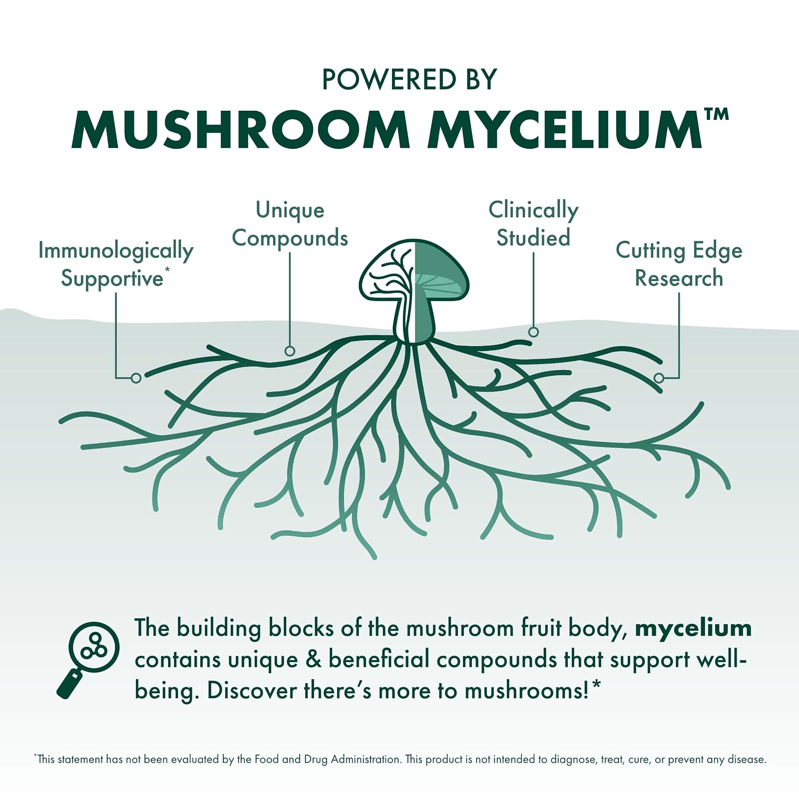 Maitake mushroom capsules for wellness