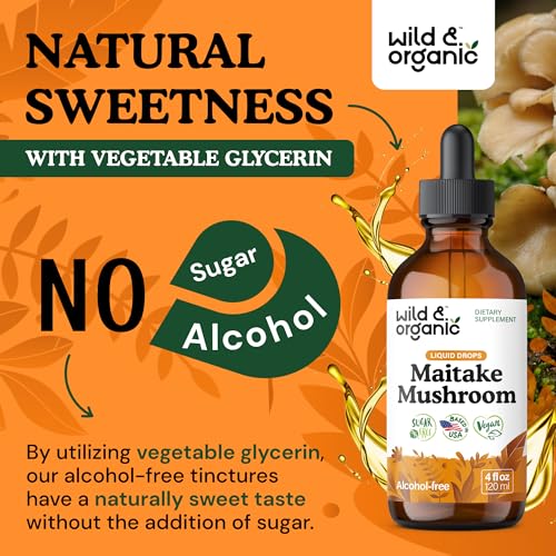 Maitake mushroom extract for energy