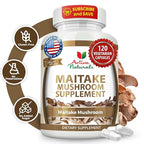 Maitake mushroom extract health benefits