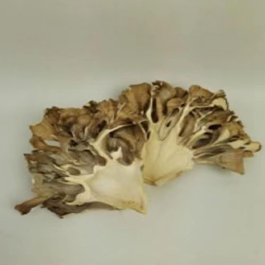 Maitake mushroom health benefits