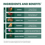 Maitake mushrooms for energy boost