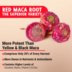Maju Superfoods maca health benefits