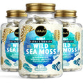 MAJU Wild Irish Sea Moss capsules