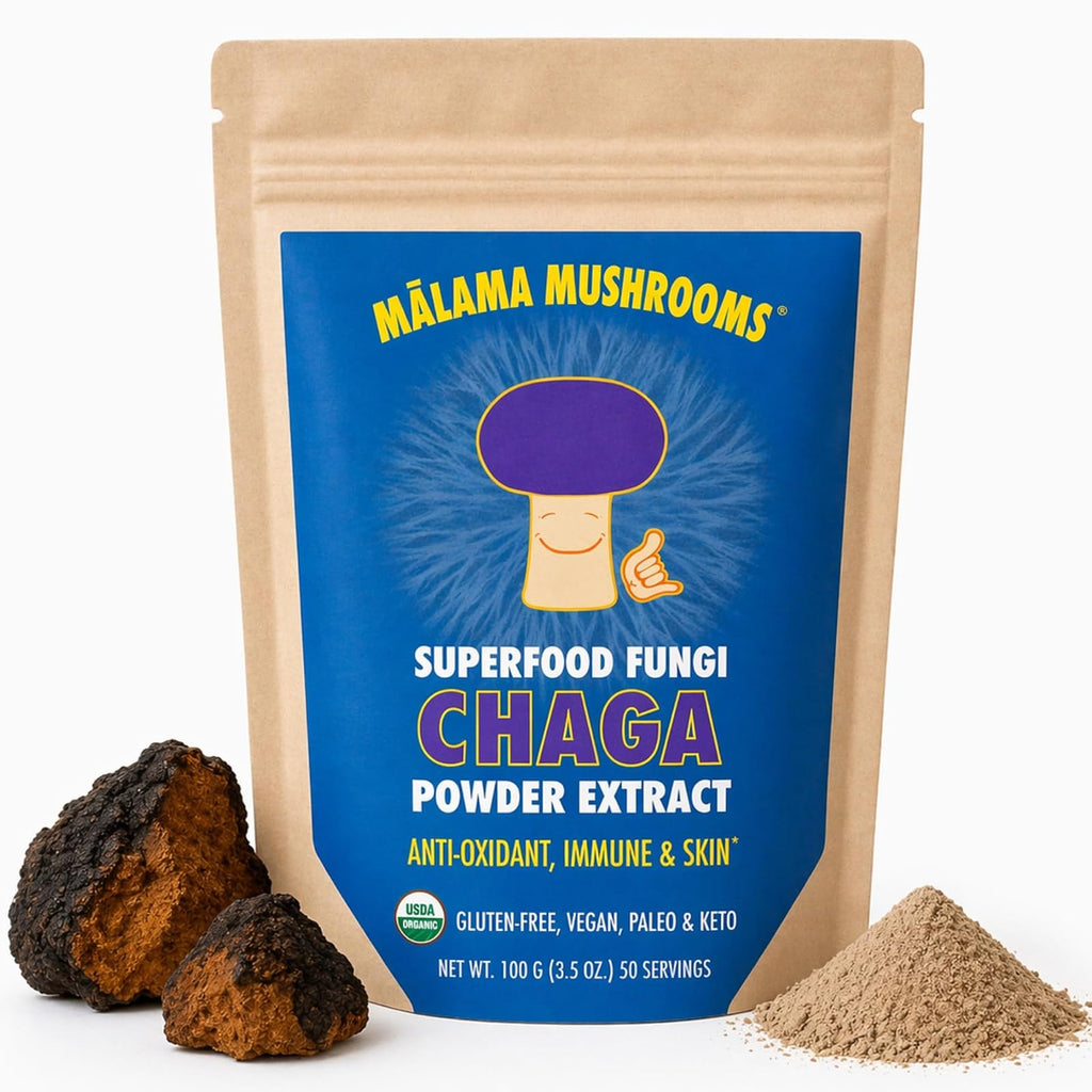 Malama Chaga mushroom extract benefits