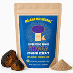 Malama Chaga mushroom extract benefits