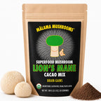 Malama Lion's Mane cacao powder