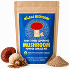 Malama mushroom blends for smoothies