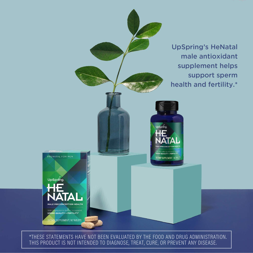 male fertility enhancement nutritional support