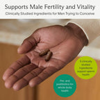 male fertility support vitamins