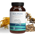 Manafest sea moss capsules for wellness
