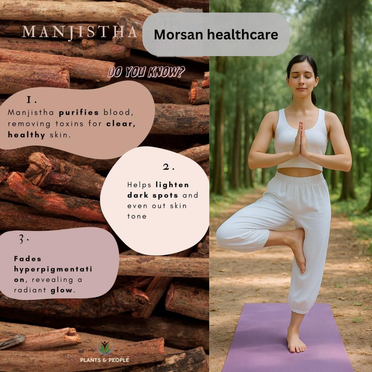 manjishtha capsules for immune support