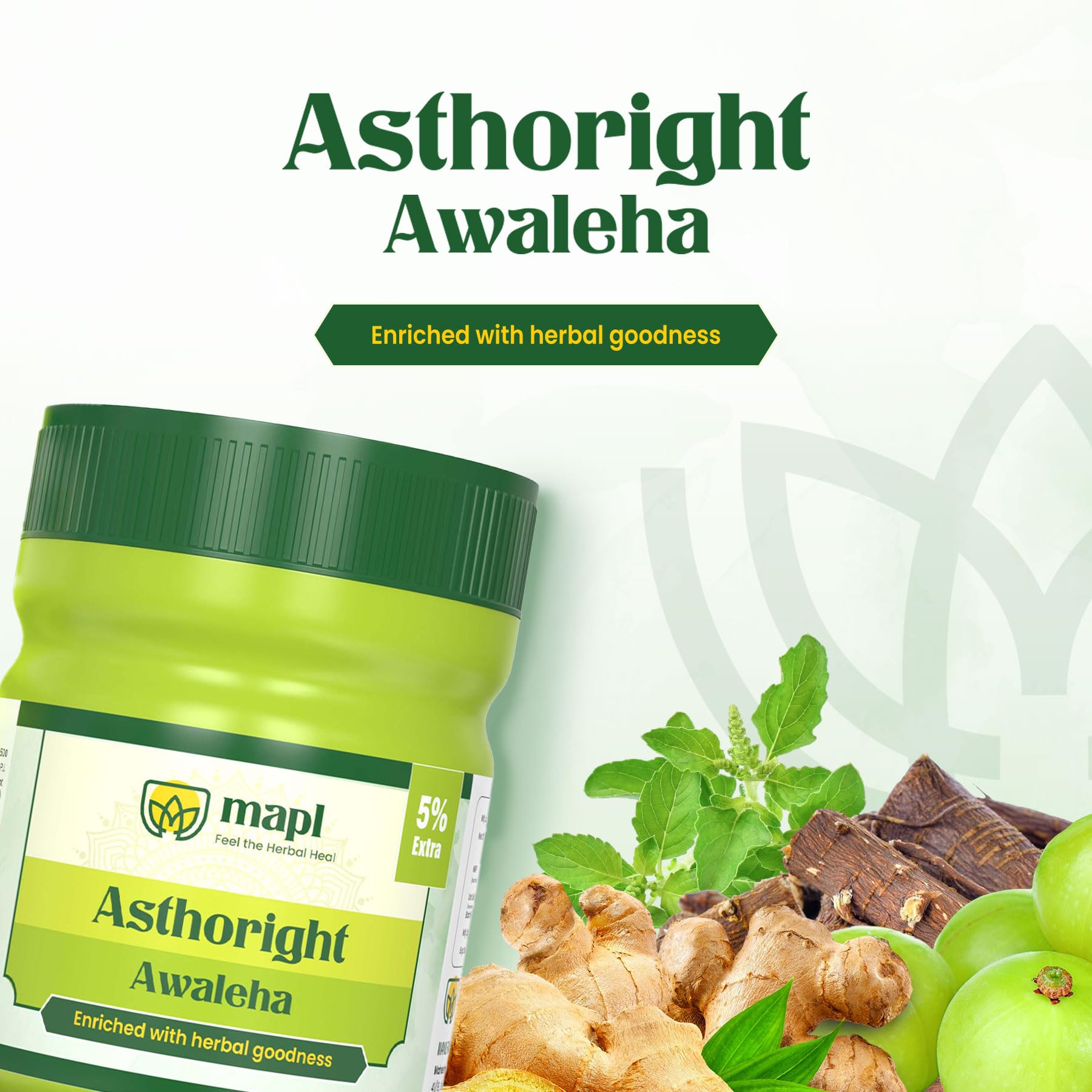 MAPL karela capsules for vitality