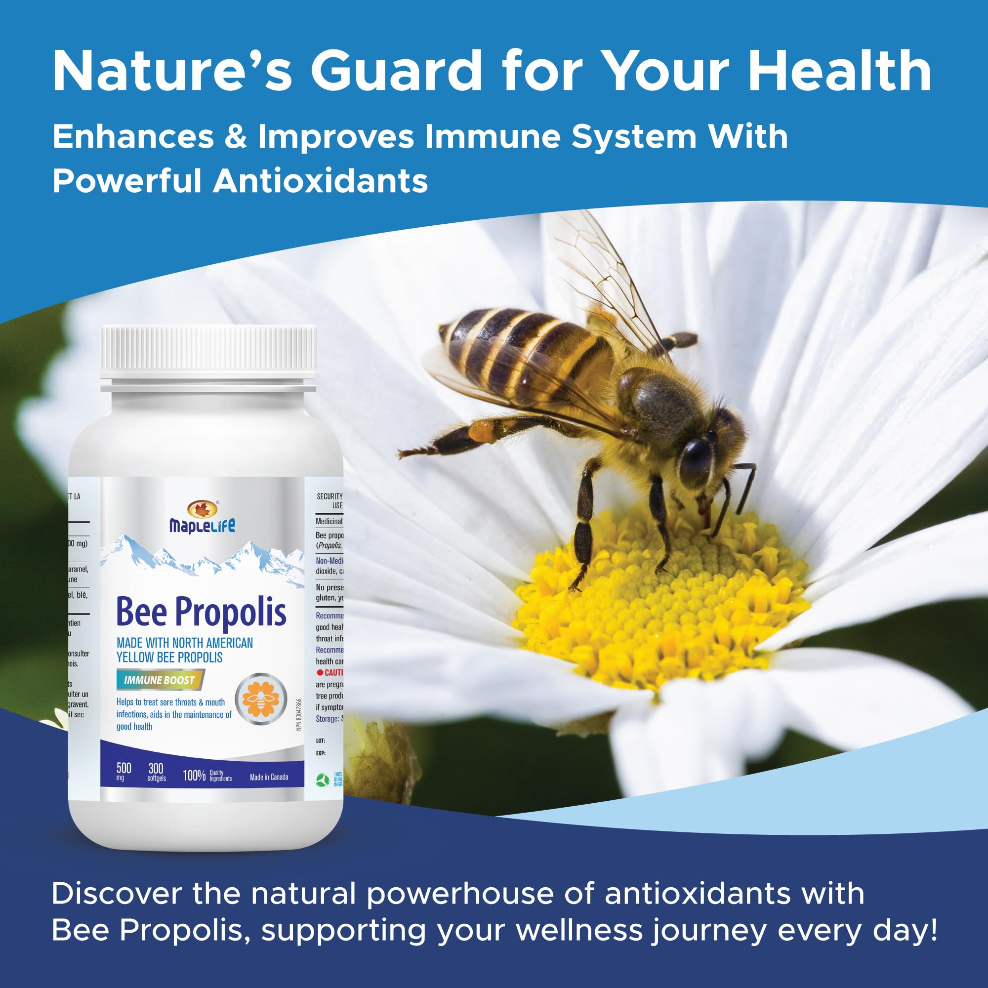 MapleLife propolis for throat comfort