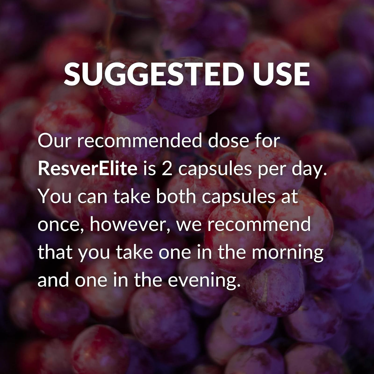 Mara Labs ResverElite energy and focus