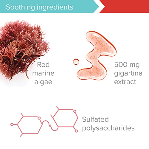 marine algae for enhanced immunity