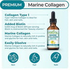 marine collagen for healthy skin