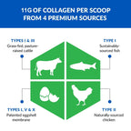 marine collagen for healthy skin