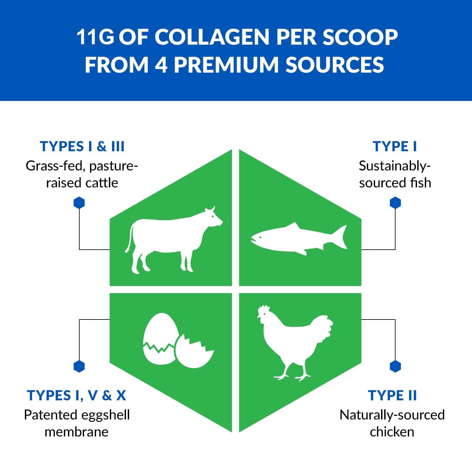 marine collagen for healthy skin