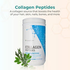 marine collagen for healthy skin