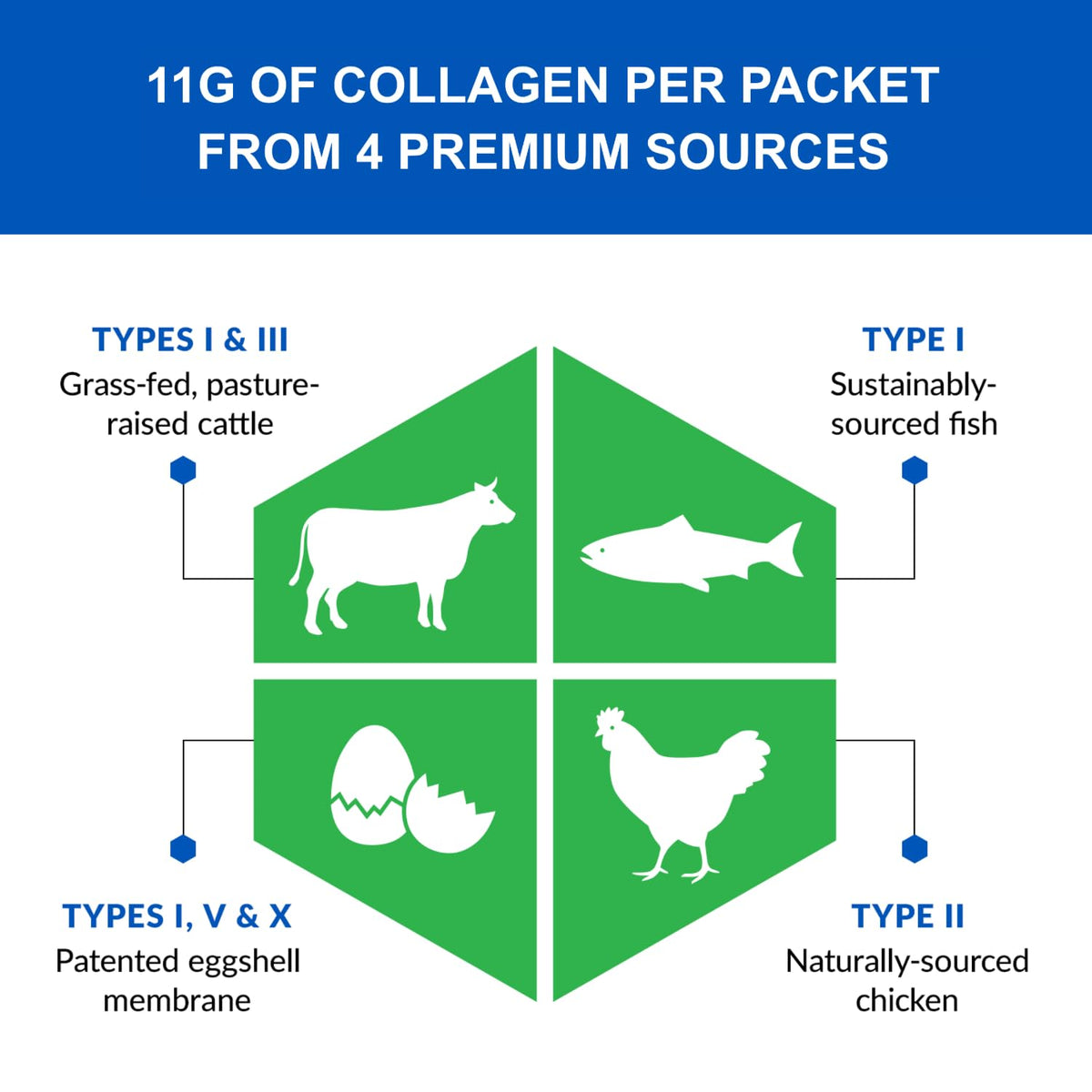 marine collagen for healthy skin