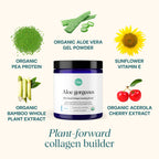 marine collagen for healthy skin