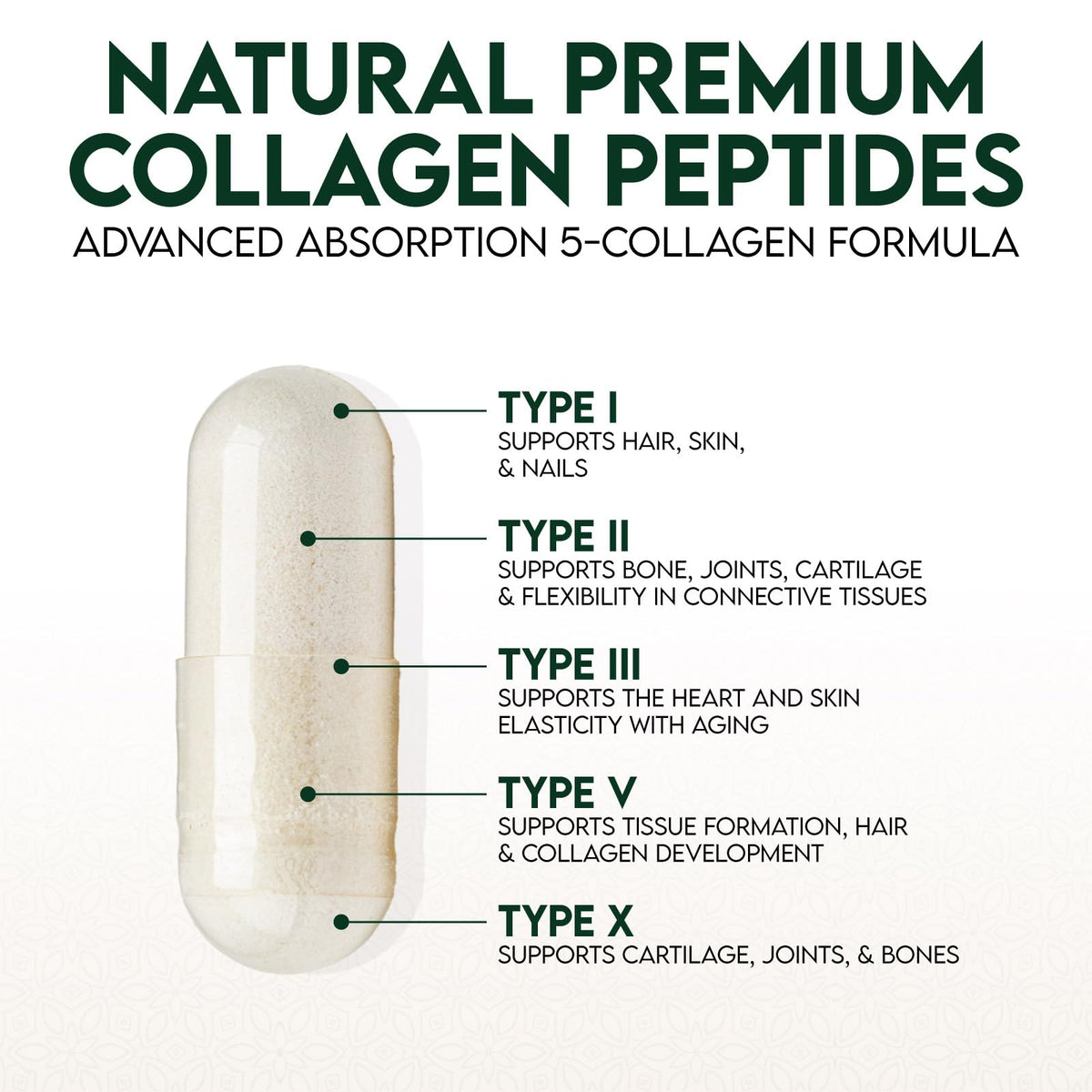 marine collagen for joint health
