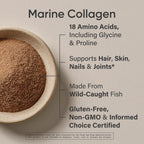 marine collagen for joint support