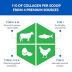 marine collagen for skin health