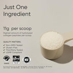 marine collagen for skin health
