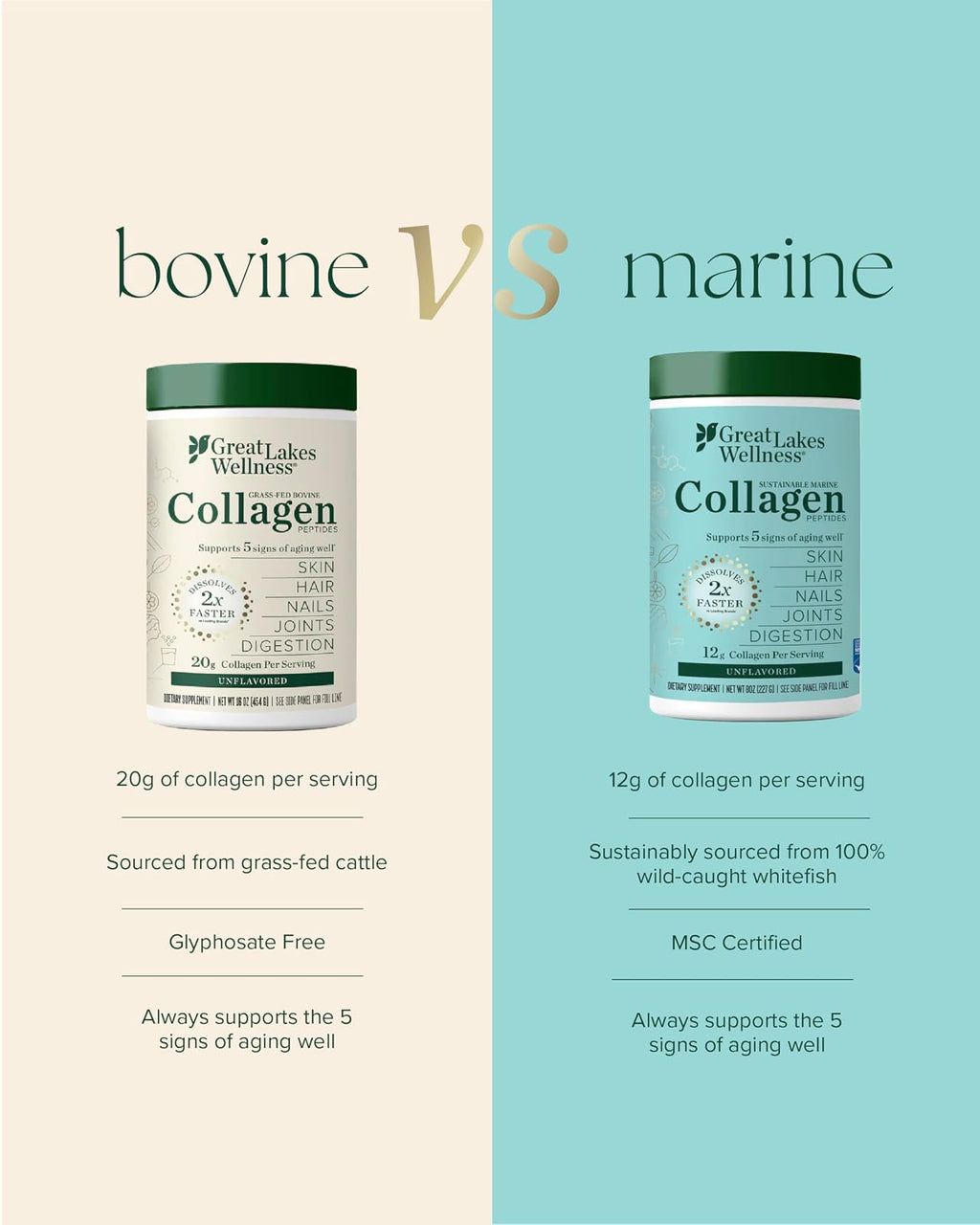 marine collagen for skin health