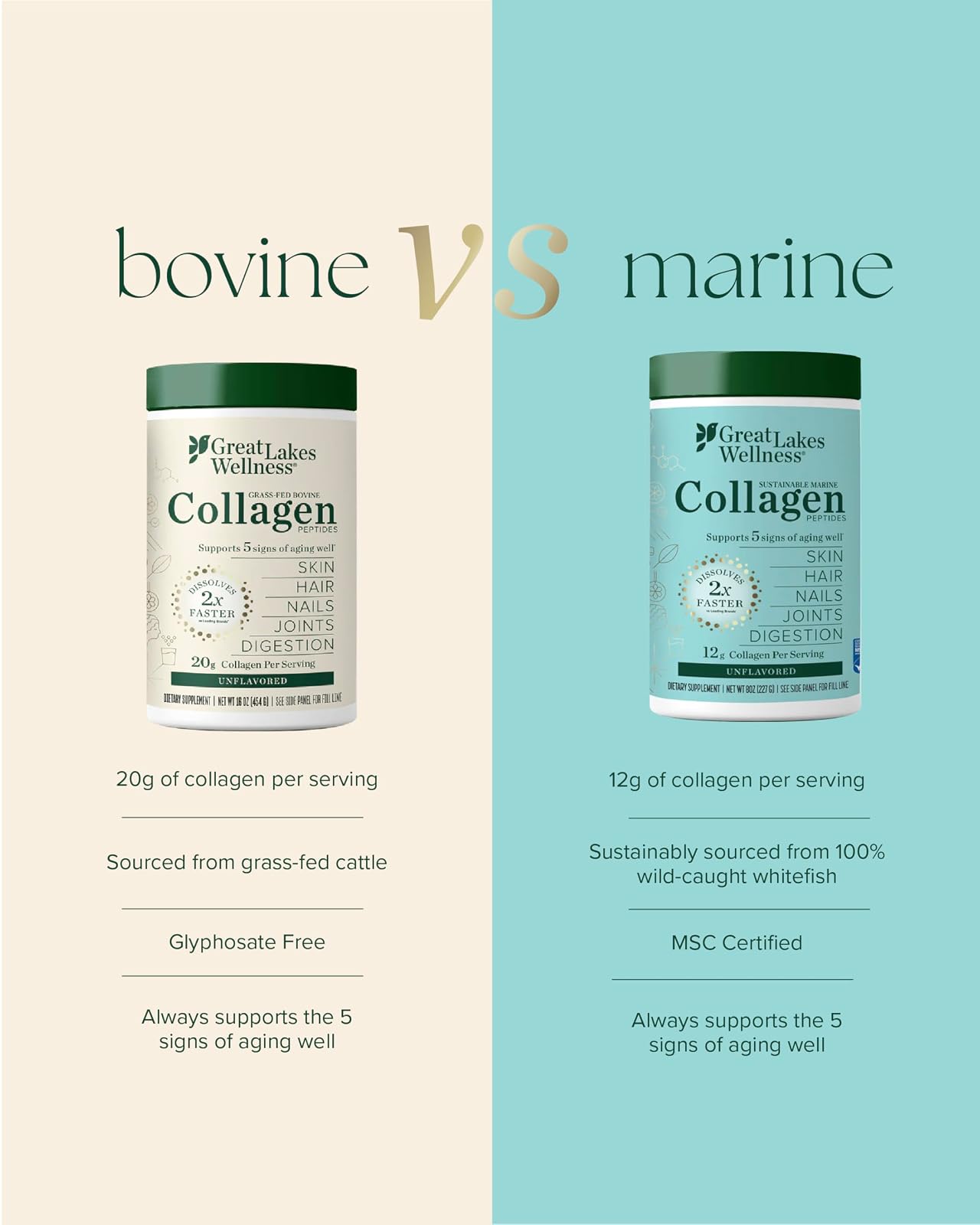 marine collagen for skin health