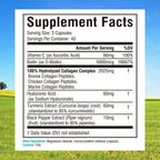 marine collagen for skin health