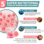 marine collagen peptides for healthy skin