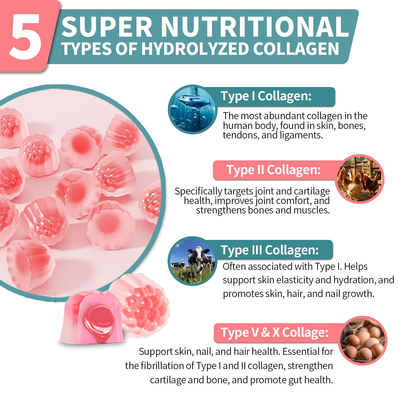 marine collagen peptides for healthy skin