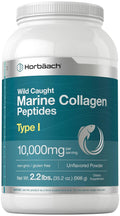 marine collagen peptides for skin